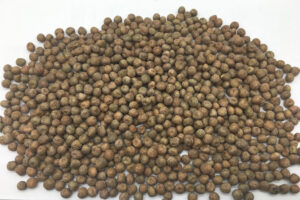 Canadian Grain Facilities: Seaforth, Brinston, Dafoe | BroadGrain
