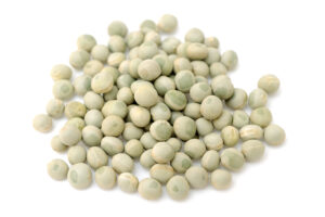 Canadian Grain Facilities: Seaforth, Brinston, Dafoe | BroadGrain