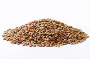 Canadian Grain Facilities: Seaforth, Brinston, Dafoe | BroadGrain